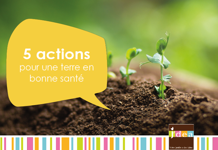 5 actions pour une terre en bonne santé | Développement durable ...